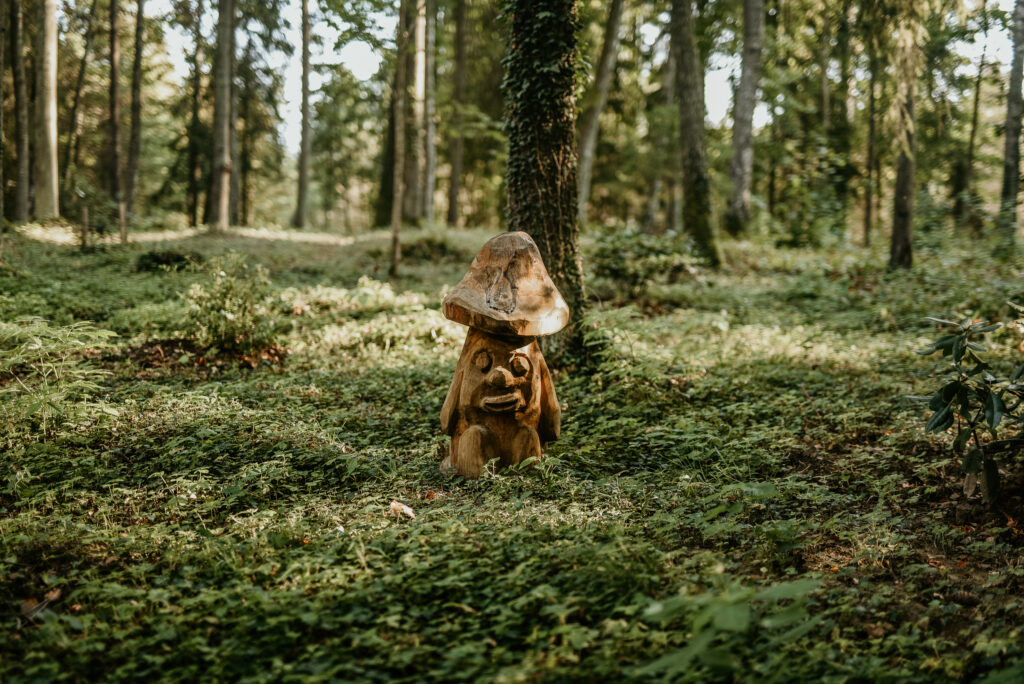 Lēdurgas dendroparkā aplūkojamas lielformāta koka skulptūras - Lēdurgas ...
